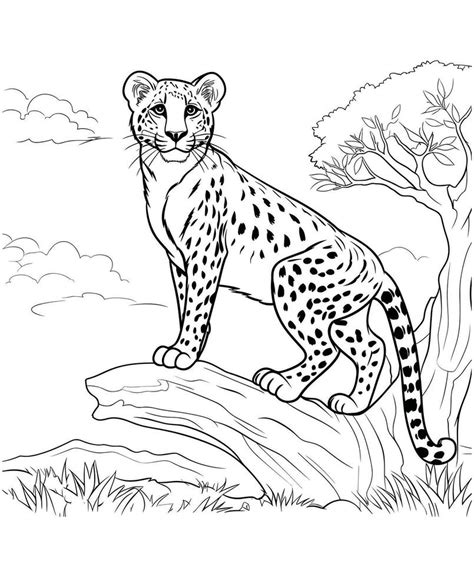 Cheetah Coloring Pages Free Coloring Pages To Print