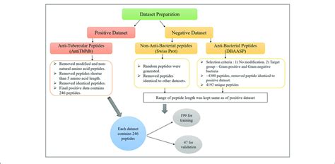 The Construction Of Positive And Negative Dataset To Develop Machine