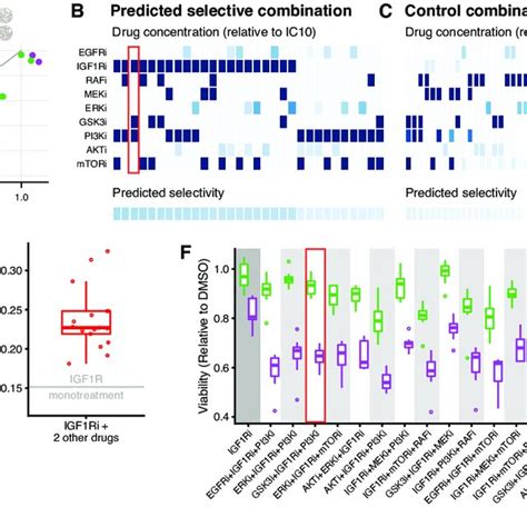 Rene Bernards Phd Netherlands Cancer Institute Amsterdam Division Of Molecular