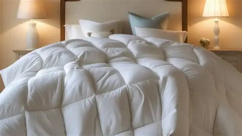 What Is Eiderdown [authentic Icelandic Eiderdown]