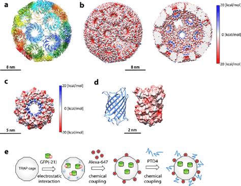 Trap Cage Protein A Structure Of Trap Cage Pdb6rvv With Each