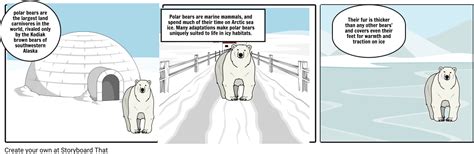 Congratulations The Png Image Has Been Downloaded Polar Bear