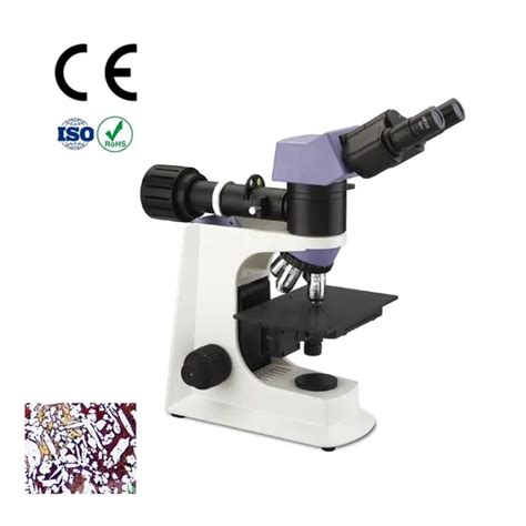 Material Analysis Optical Upright Stereo Digital Metallurgical
