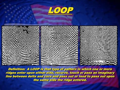 Fingerprint Classification Loop Patterns Pptx