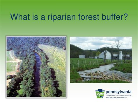 Ppt Conserving Penns Woods Multi Use Riparian Forest Buffer