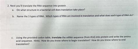 Solved 2 Next Youll Translate The Rna Sequence Into