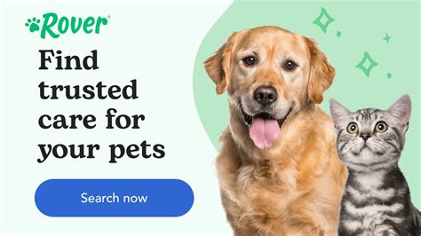 Cat Eye Problems 13 Most Common Feline Eye Issues And Treatments