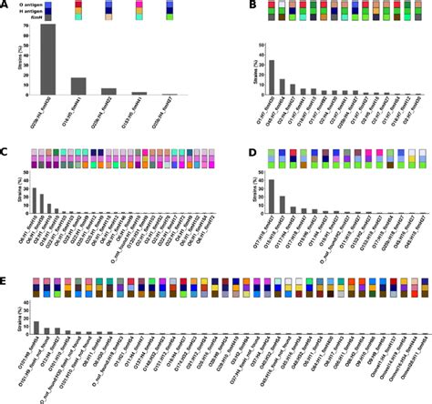 Distribution Of The Combinations Ohfimh Among The Big Four Stcs And Download Scientific