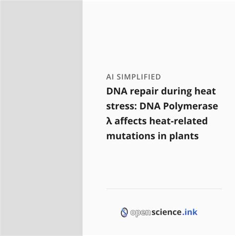Dna Repair During Heat Stress Dna Polymerase λ Affects Heat Related