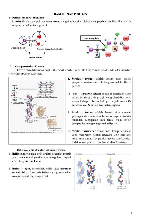 Detail Gambar Struktur Kuartener Protein Koleksi Nomer 24