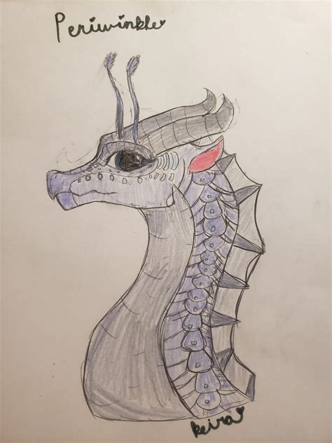 I Drew My Silkwing Seawing Oc From Wings Of Fire And Thought It Was