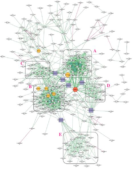 Co Occurrence Network Of Over Represented Genes Green Edges Indicate Download Scientific