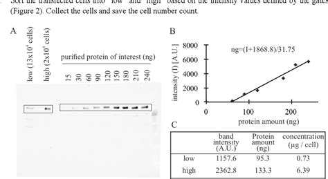 Figure 1 From Protein Level Quantification Across Fluorescence Based