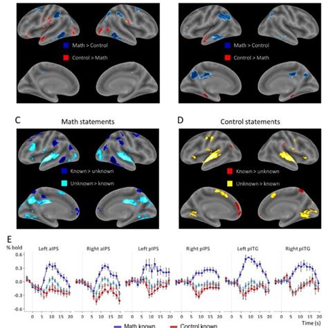 Distinct Brain Networks For Mathematical Versus General Knowledge Download Scientific Diagram