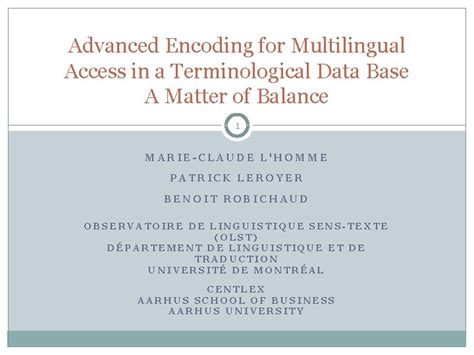 Advanced Encoding For Multilingual Access In A Terminological