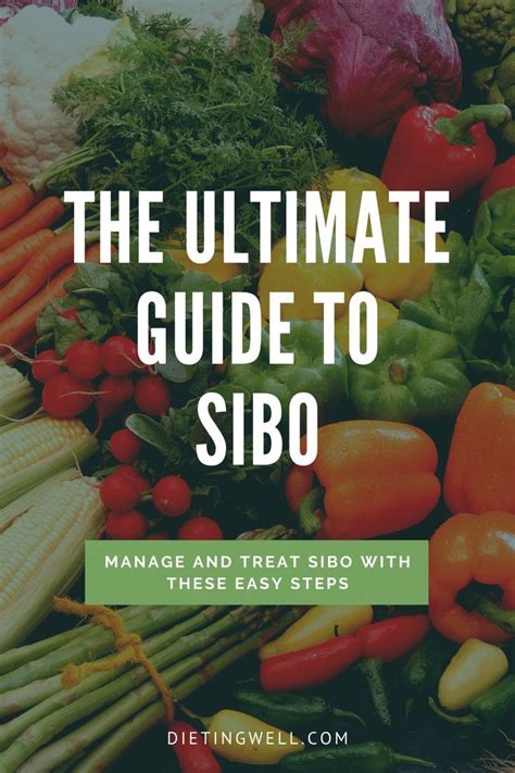 How To Treat Sibo Naturally Artofit