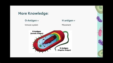 bioinformatics video presentation youtube