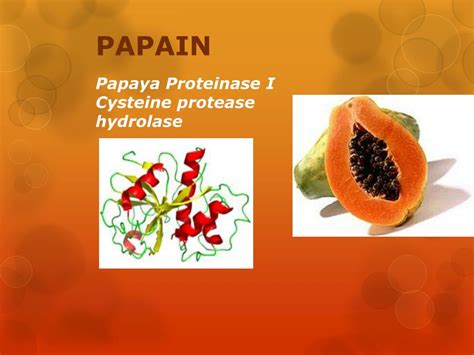Ppt Bromelain Powerpoint Presentation Free Download Id1549554