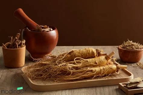 خواص جینسینگ برای زنان چرا مصرف آن ضروری است؟