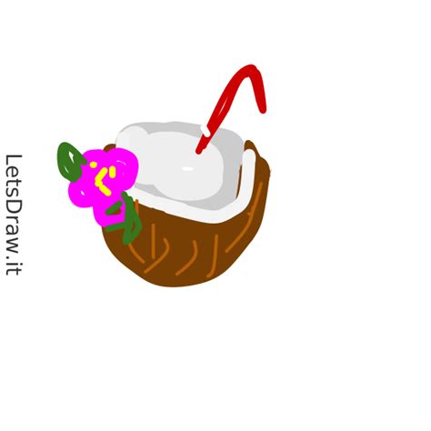 How To Draw Coconut Yj U Ft Png LetsDrawIt