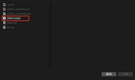 告别繁琐设置，用openvpn一键实现内网穿透与远程办公 哔哩哔哩