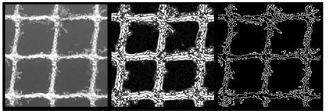 Canny Edge Detection Flow Chart Download Scientific Diagram