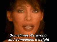 Whitney Westgate S Find And Share On Giphy