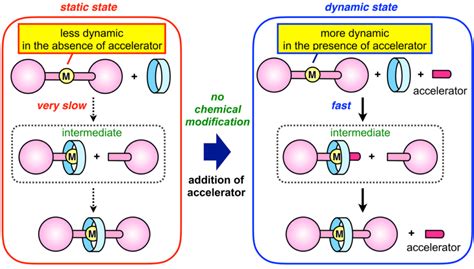 Locking And Unlocking Molecular Structures On Demand Wpi Nano Life Science Institute Kanazawa