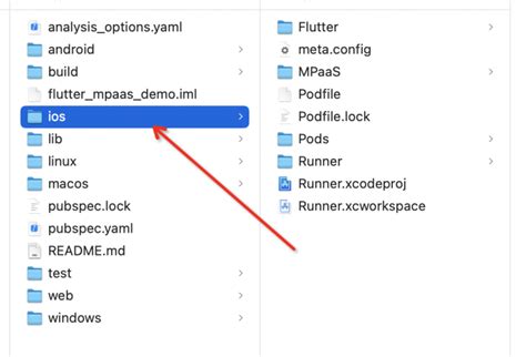 Flutter 工程接入操作指南 Mobile Platform as a Service 阿里雲
