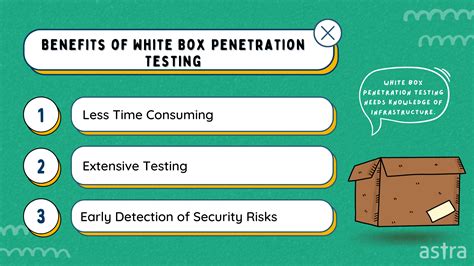 What Is White Box Penetration Testing