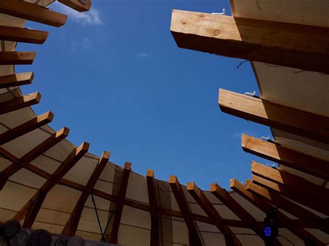 Exploring The Potential Of Mycelium In Architecture