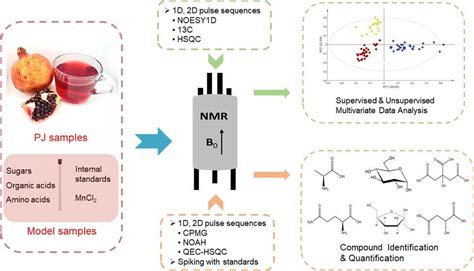 Nmr Based Juice Analysis Creative Biostructure