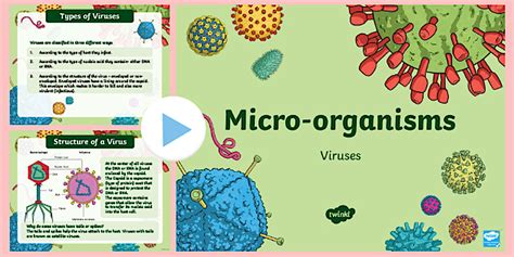 Viruses PowerPoint Teacher Made Twinkl