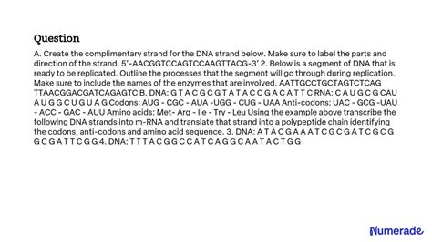 SOLVED Create The Complementary Strand For The DNA Strand Below Make Sure To Label The Parts