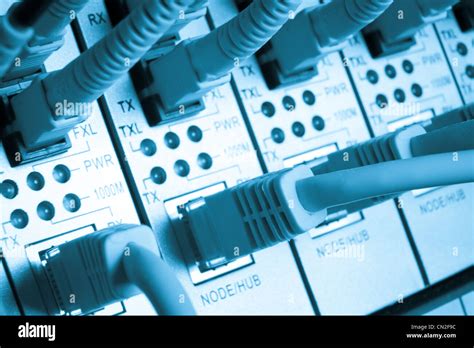 Close Up Of Network Cables Connected To Switch Stock Photo Alamy