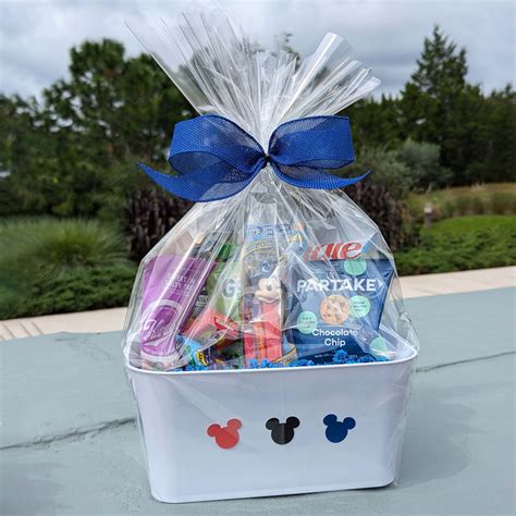 🏰disney T Baskets Magical T Baskets