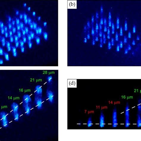 Pl Imaging Of Stair Like Set Of Pairs Of Linear Microbit Arrays In Lif
