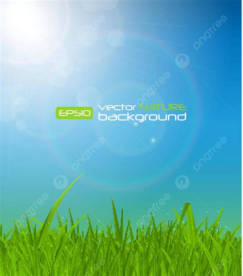 Natural Sunny Background Vector Illustration Light Climate Banner