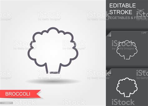 브로콜리 편집 가능한 스트로크가 있는 윤곽선 아이콘입니다 그림자와 음식의 선형 기호 가득 찬에 대한 스톡 벡터 아트 및 기타 이미지 가득 찬 건강한 식생활 고체