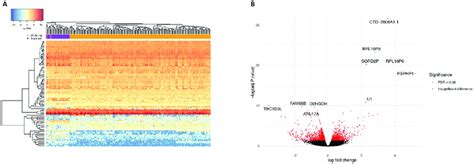 DEGs Between Black And White Individuals In Non Sun Exposed Skin A