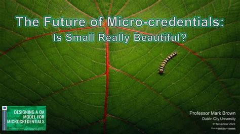 The Future Of Micro Credentials Is Small Really Beautiful Ppt
