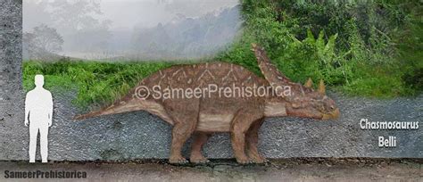 Chasmosaurus Size By Sameerprehistorica On Deviantart