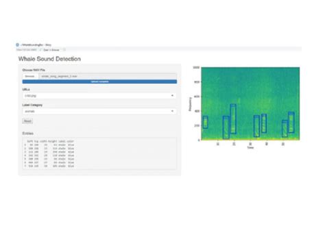 whale sound detection central coast data science