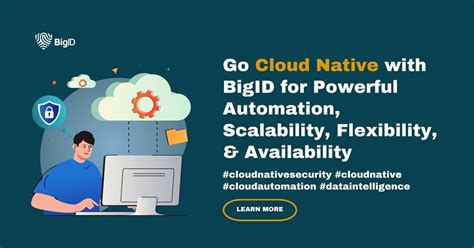 go cloud native with bigid for powerful automation scalability