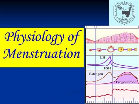 Physiology Of Menstruation3pdf Lecture Pdf