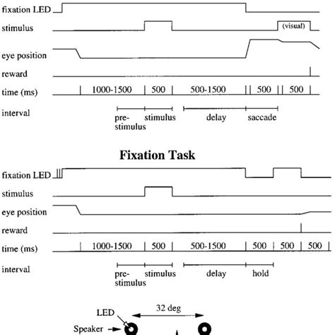 Time Courses For Memory Saccade And Fixation Tasks And Diagram Of
