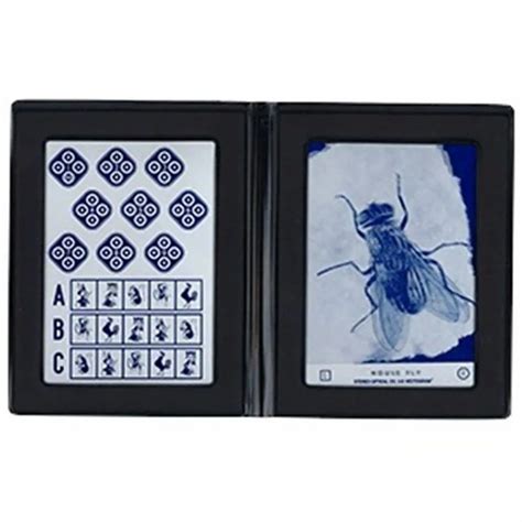 Stereo Fly Test At ₹ 34999 Piece In New Delhi Id 2854019311612