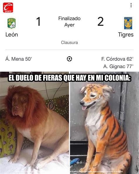 Memes Perro Leon Lámina Artística For Sale Con La Obra Meme Perro