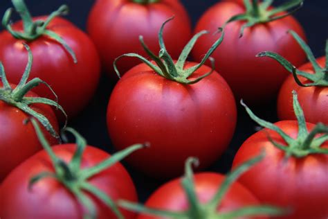 Tomato Selection and Storage Information.