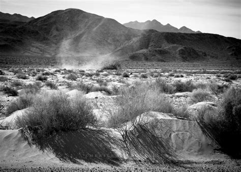 Dust Devils The Gravel Ghost